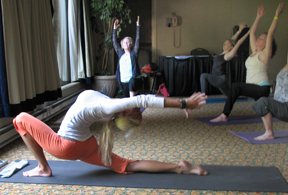 Review of the Twelfth Annual Midwest Yoga Conference